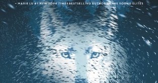 Carina's Books: Review: Ice Wolves by Amie Kaufman
