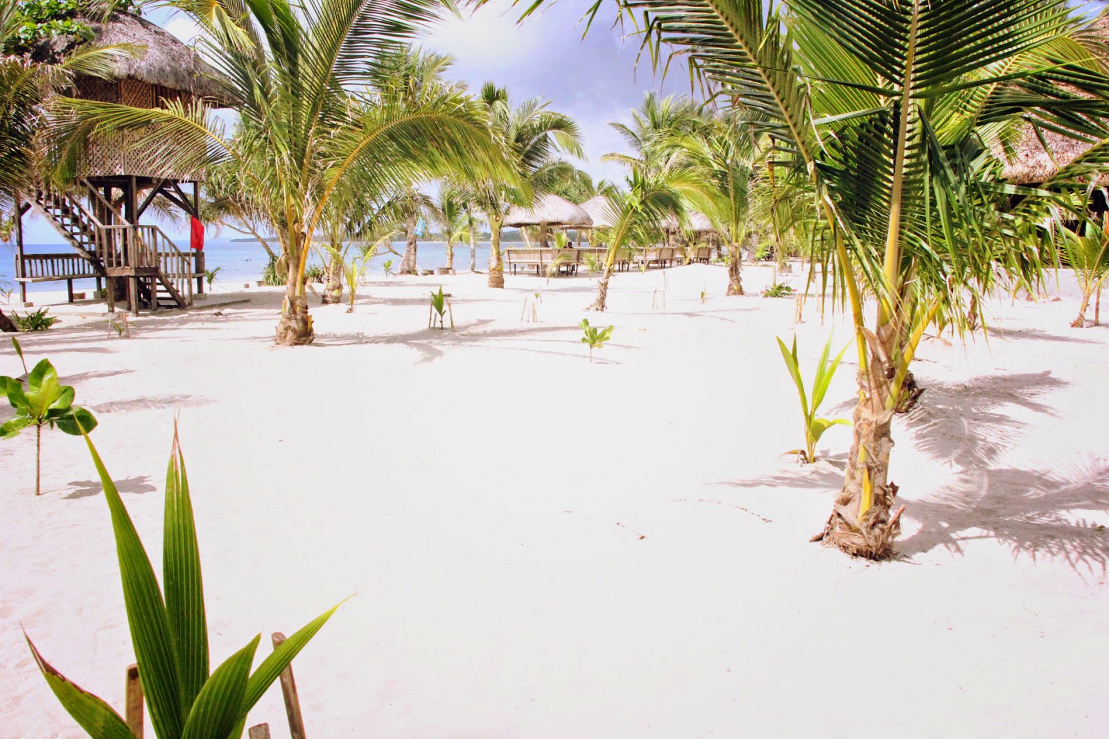 Love, Chelsea: Paraiso De Palani. Masbate Boracay.