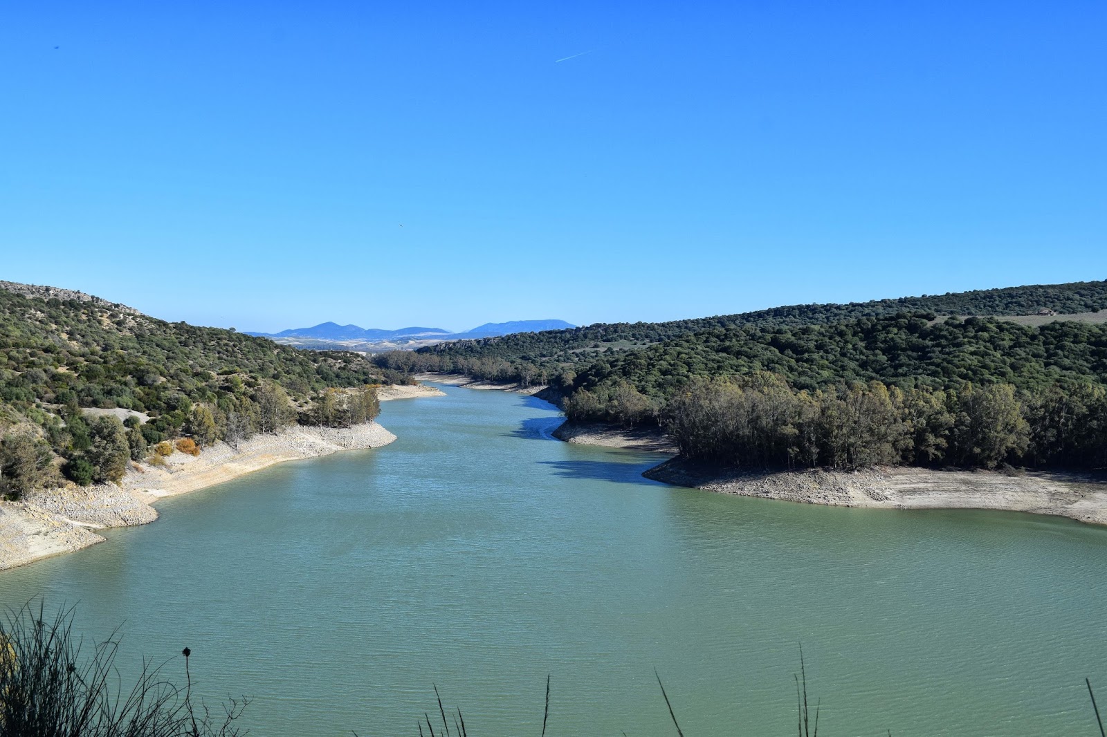 Sendero Ribera del Embalse de Bornos (Cádiz) - Un Destino Entre Mis Manos