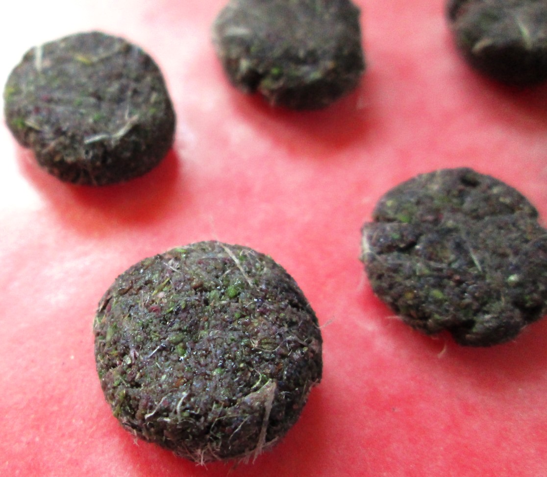 The Essential Herbal Blog: Troches - Little Cakes