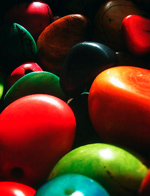 A salvar los elefantes con la tagua, el marfil vegetal. ~ El Mundo de ...