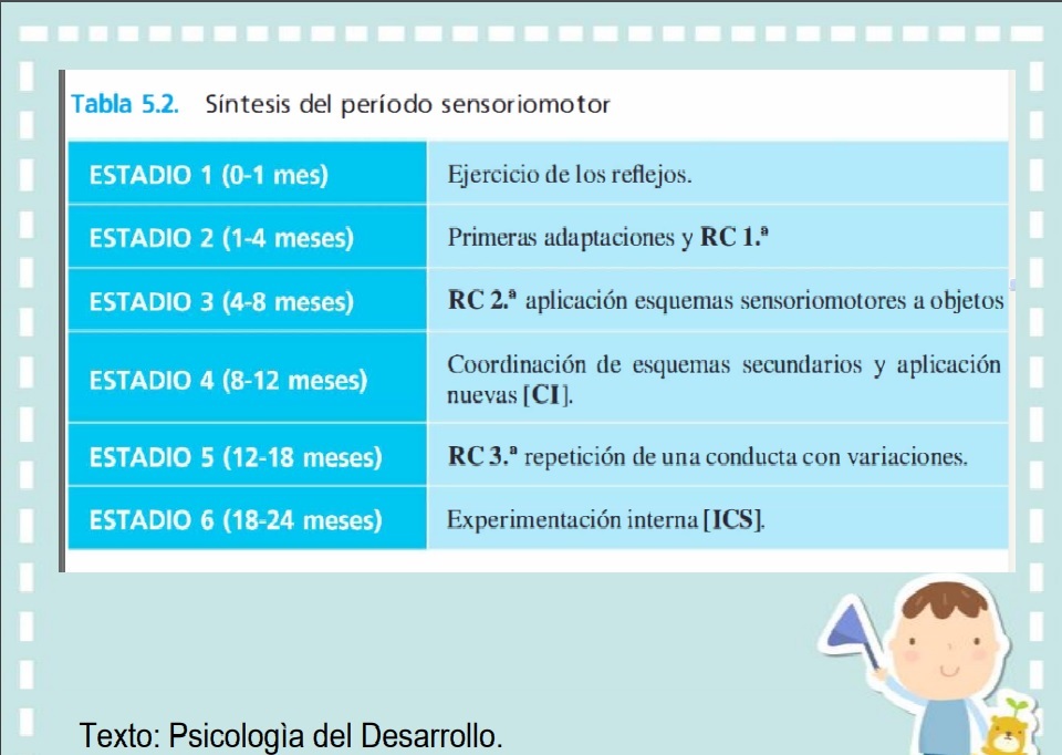 Cuales Son Las 6 Etapas Del Desarrollo Sensoriomotor