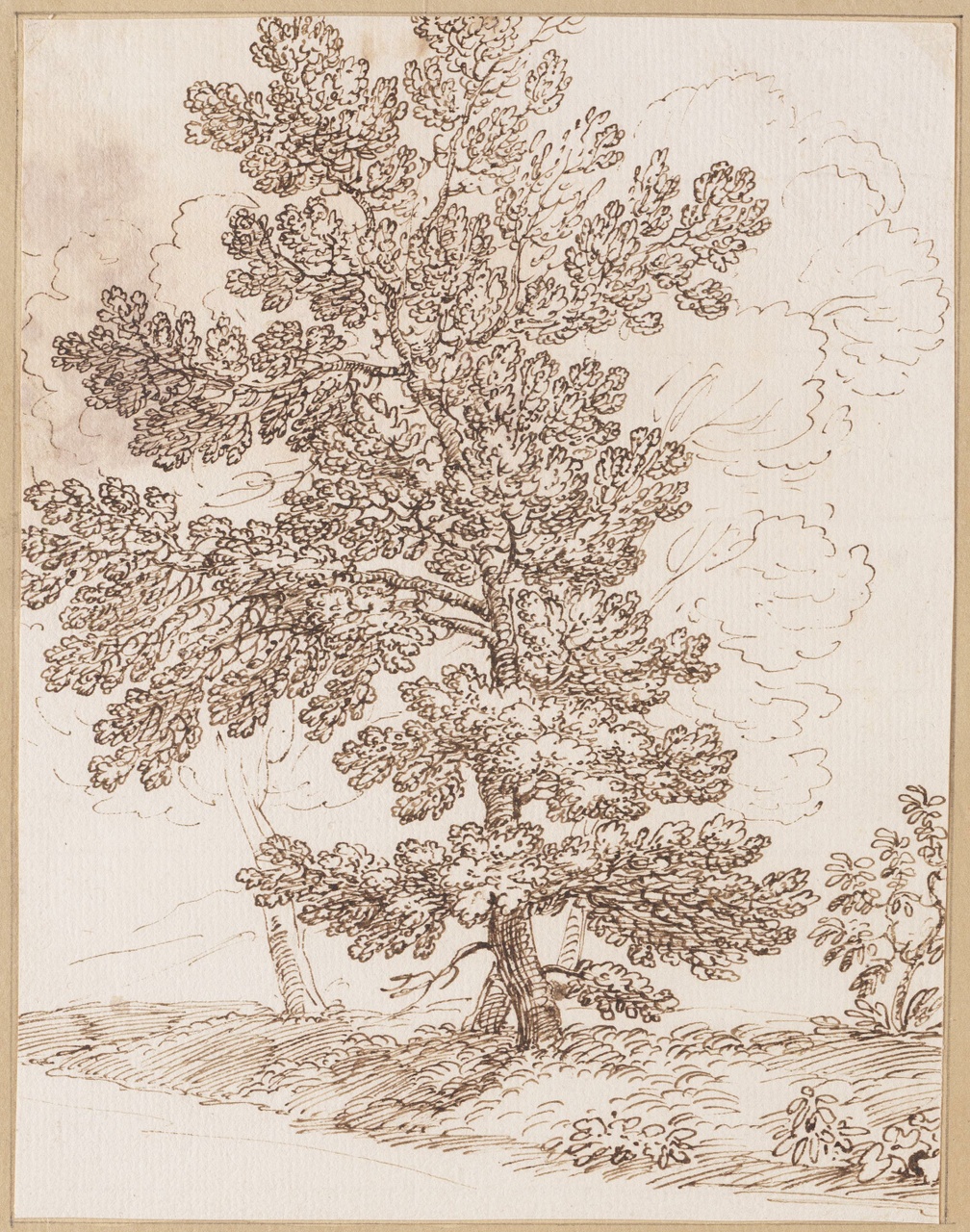Spencer Alley: Onofri, Grimaldi, Sacchi (17th-century drawings)