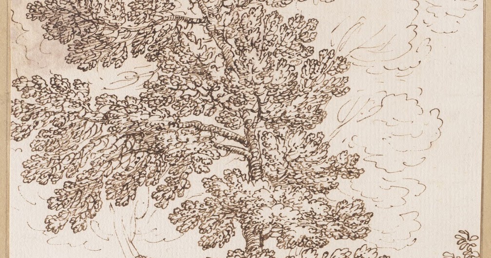 Spencer Alley: Onofri, Grimaldi, Sacchi (17th-century drawings)