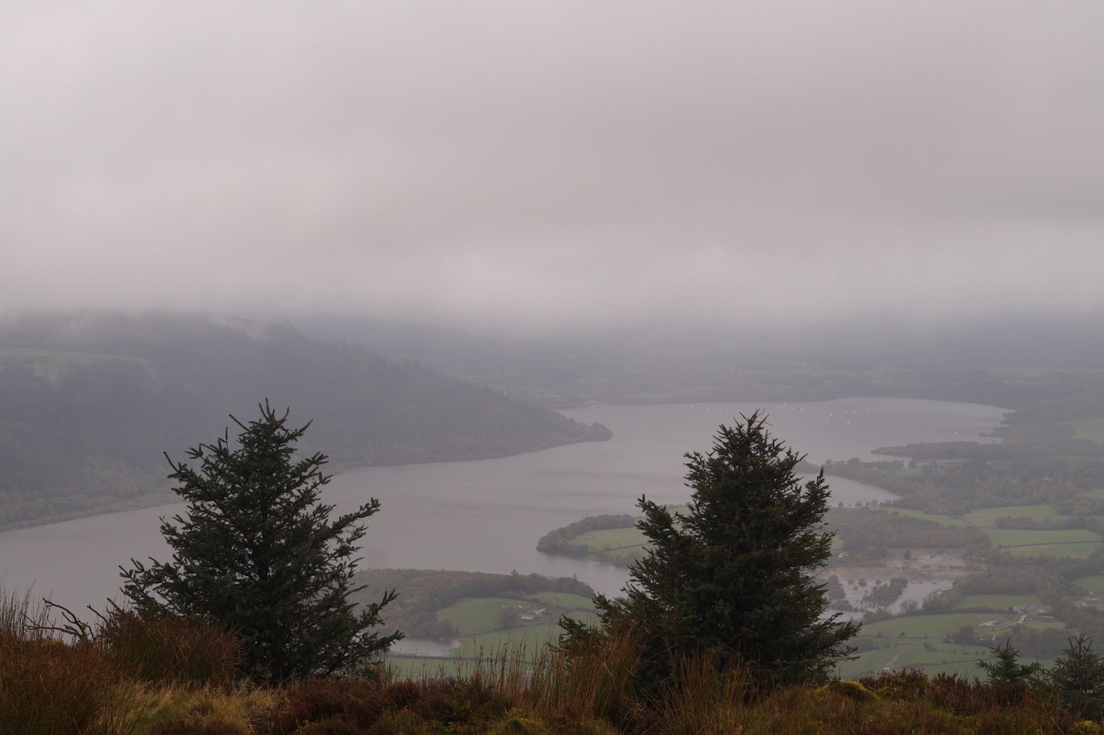 Dodd wood, the route to the summit - Sophie in the Sticks