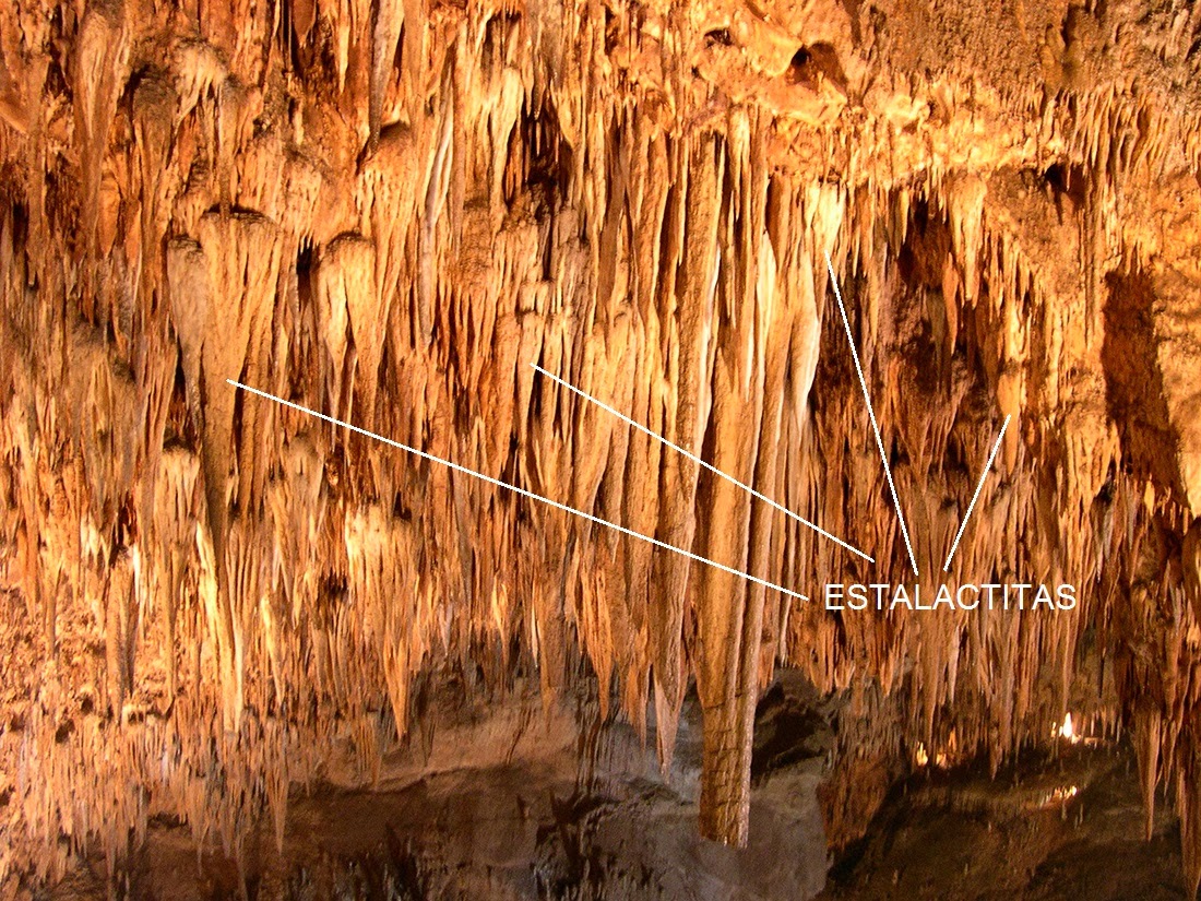 CURIOSIDADES CIENTÍFICAS : Estalactitas, estalagmitas y columnas.