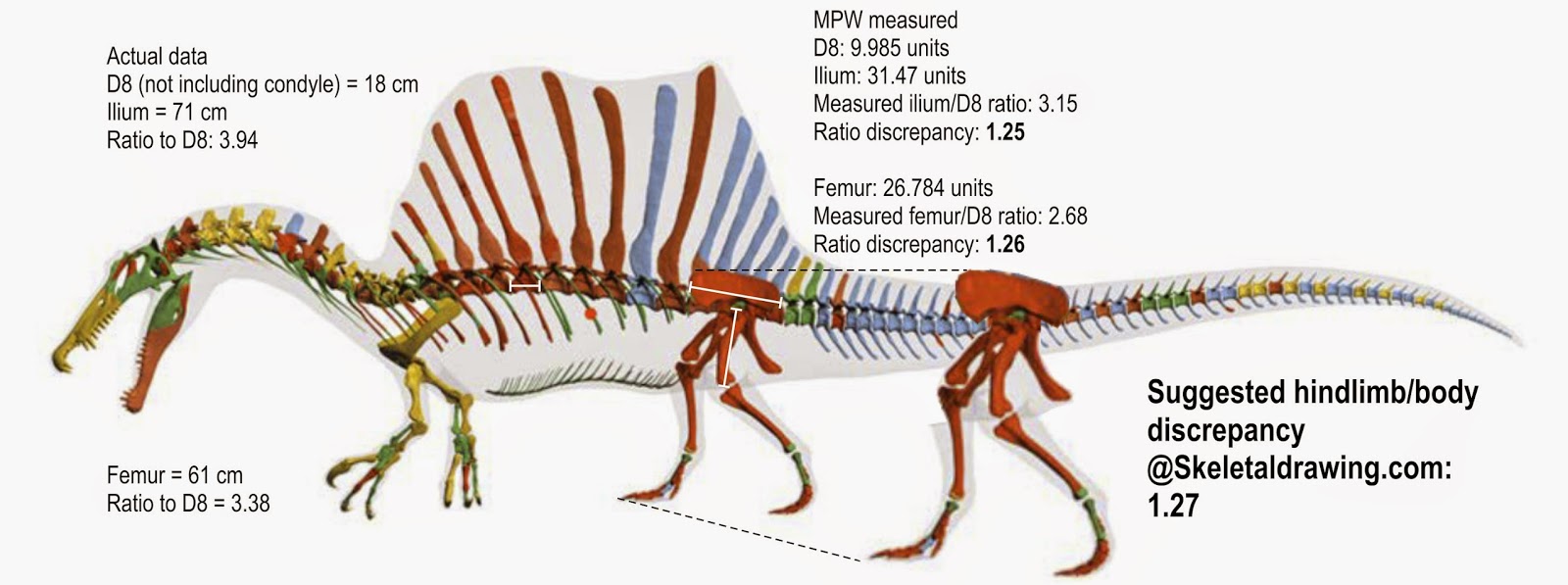 Mark Witton.com Blog: The Spinosaurus hindlimb controversy: a detailed ...