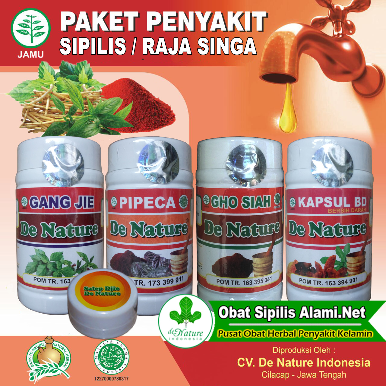 Herbal Obat Penyakit Sipilis