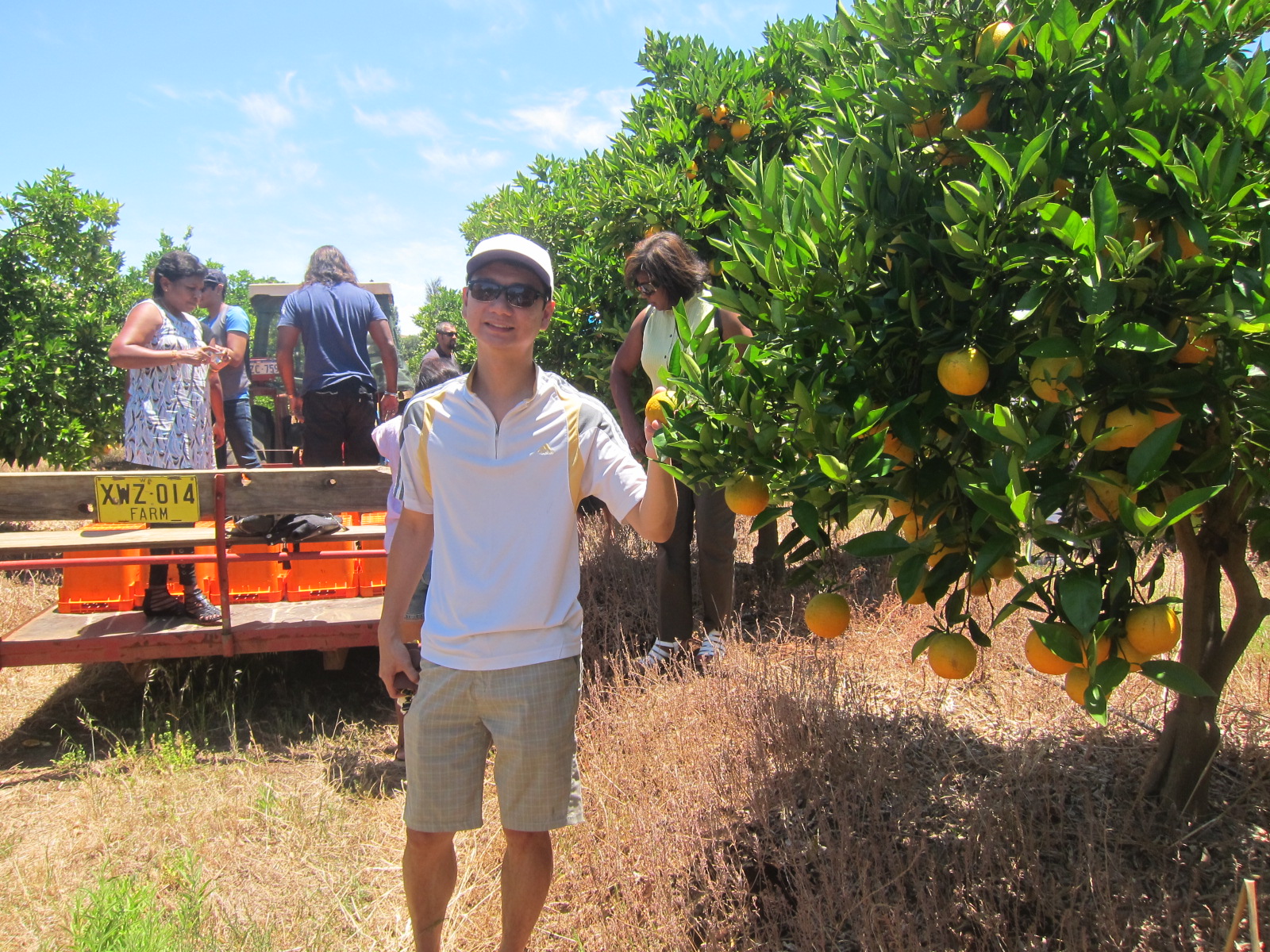 Up AbOve & DoWN UnDer: Orange Farm at Chittering