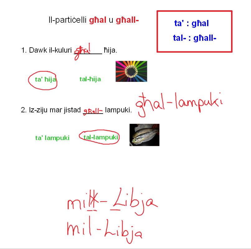 Miss Sarah's Class: Il-Malti