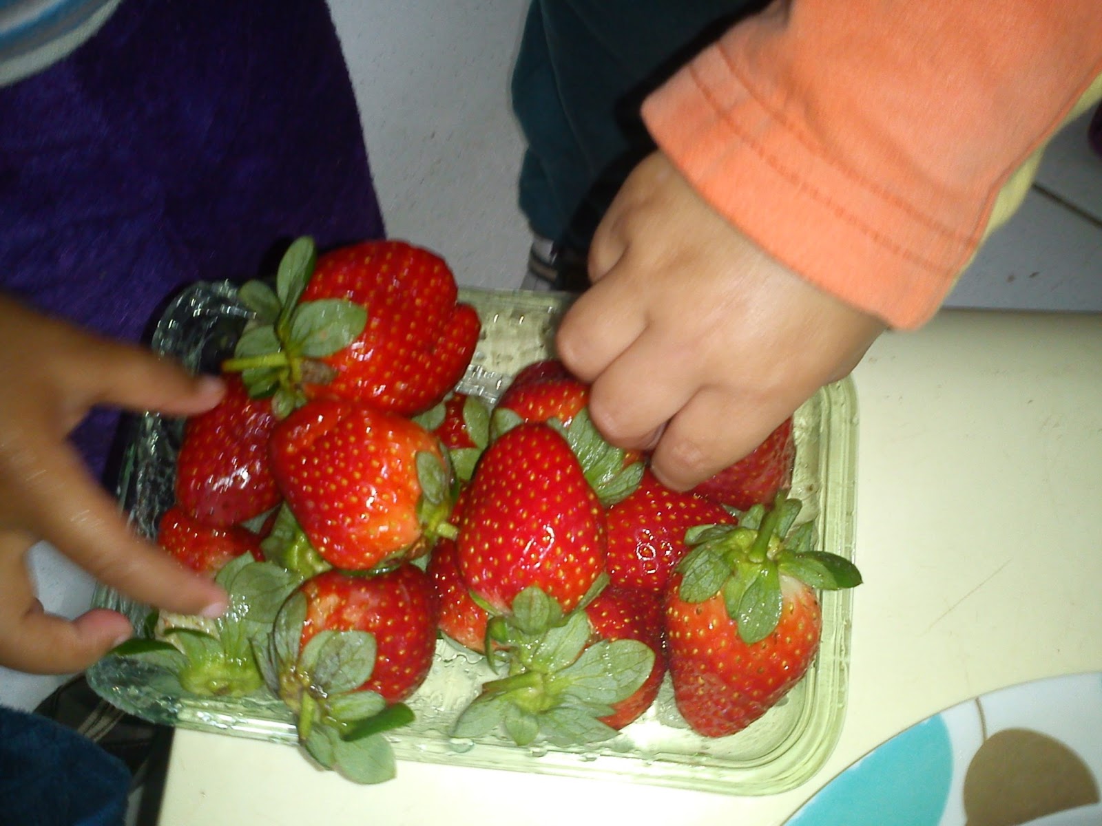 Profª: Ivani Ferreira: Plano de aula para Educação Infantil/Maternal