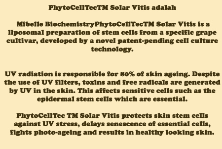 Double Stem Cell : PhytoCellTec™ Solar Vitis PhytoCellTec™ (Grape Stem ...