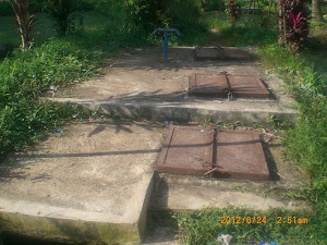 Struktur Hippam - Hippam Tirta Lestari