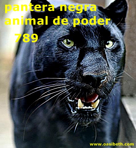LA PANTERA NEGRA COMO ANIMAL DE PODER ~ Códigos Sagrados Numéricos