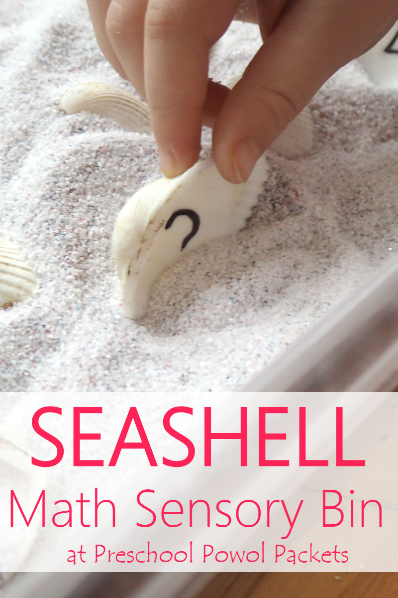 Seashell Math Sensory Bin | Preschool Powol Packets