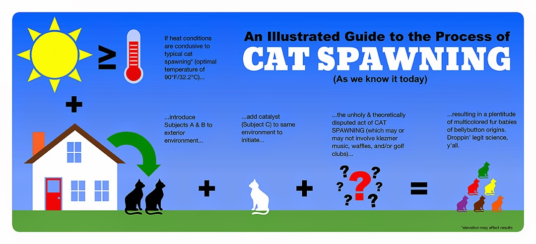 Brendan Tobin: An Illustrated Guide To The Process Of Cat Spawning (As ...