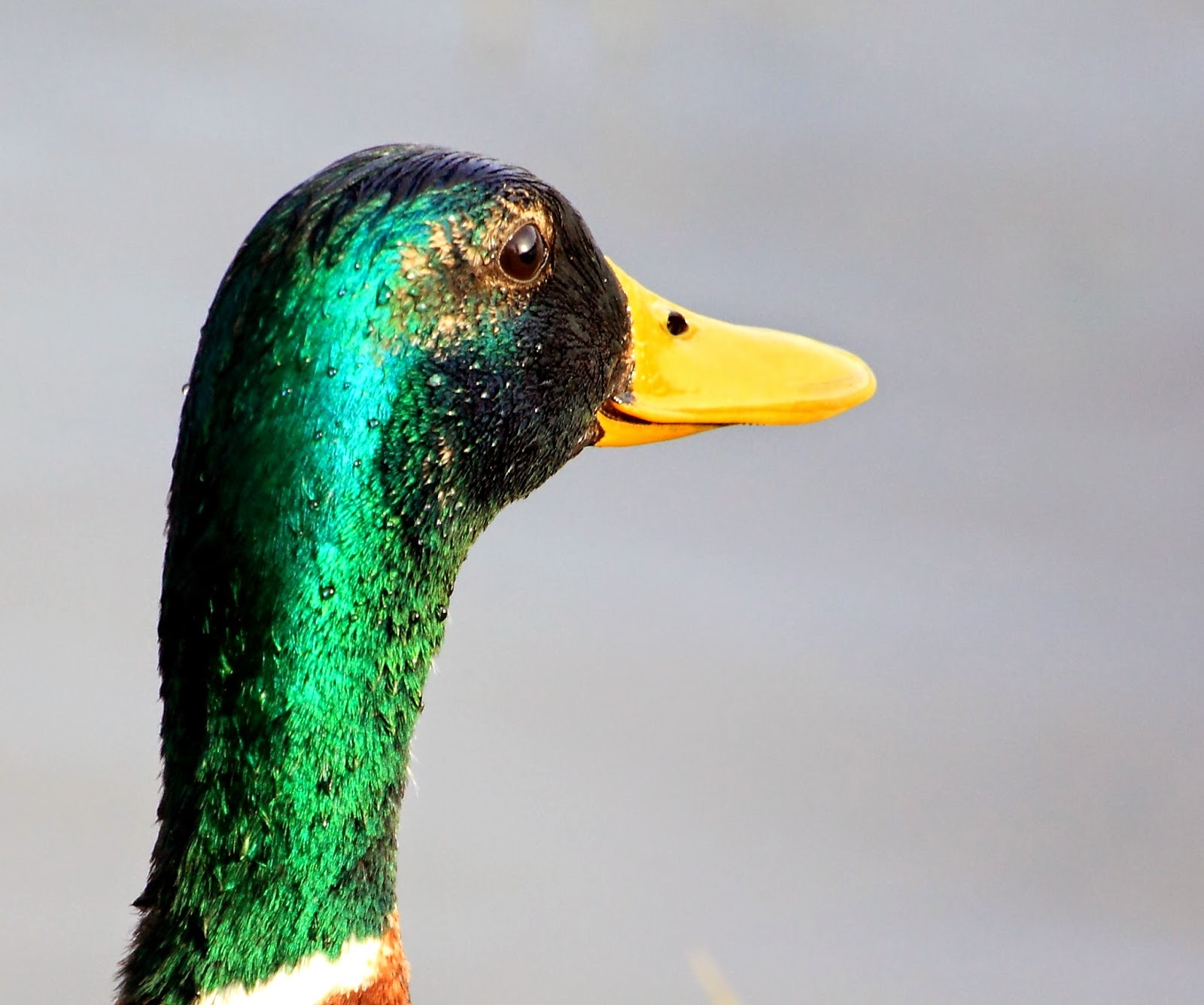 MIS VIAJES:DESDE ZARAGOZA A LA LUNA: abril 2014