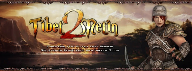 Metin2 Banner PSD - Webuzay Blog