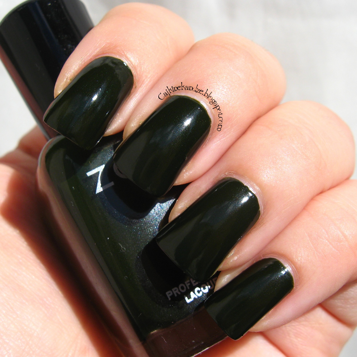 Zoya Envy | Cajkine kandže i sve njihove boje