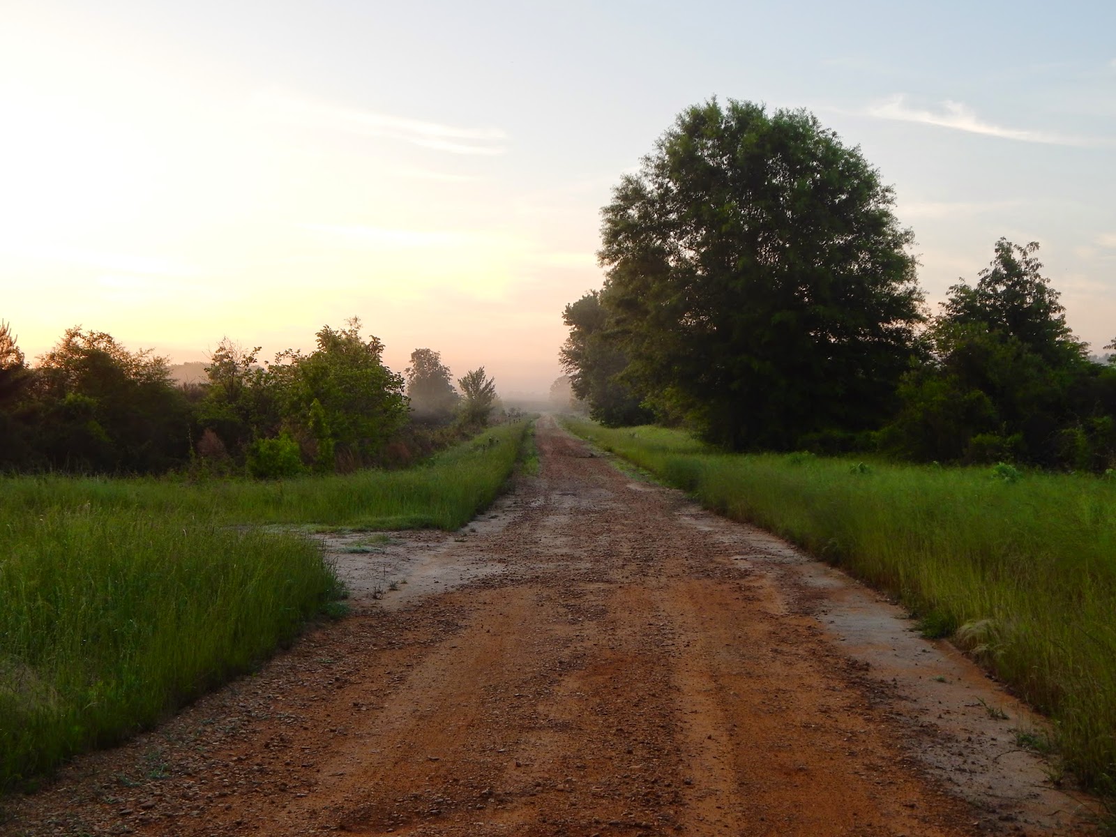 Central Louisiana Birding & Wildlife: Willow Lake, Bushley Bayou, and ...