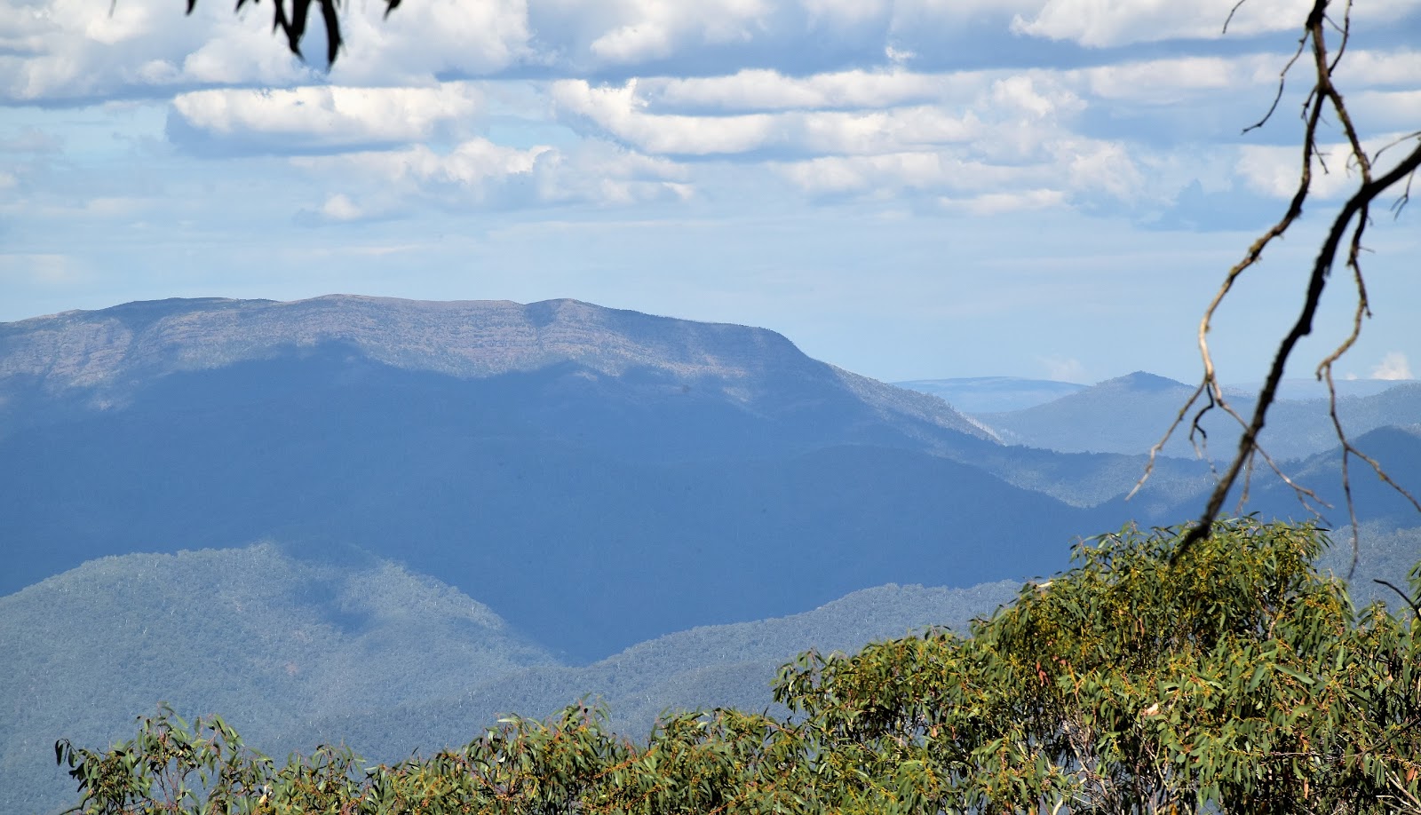 Goin' Feral One Day At A Time: Mt Timbertop, Mansfield State Forest ...