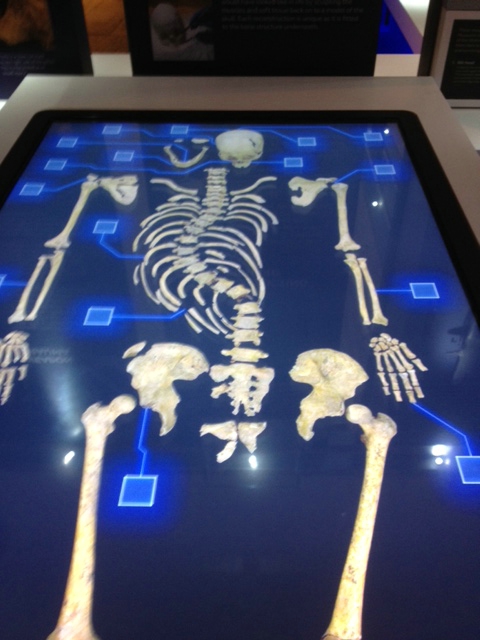 Travels and Reviews: King Richard III Found in Leicester