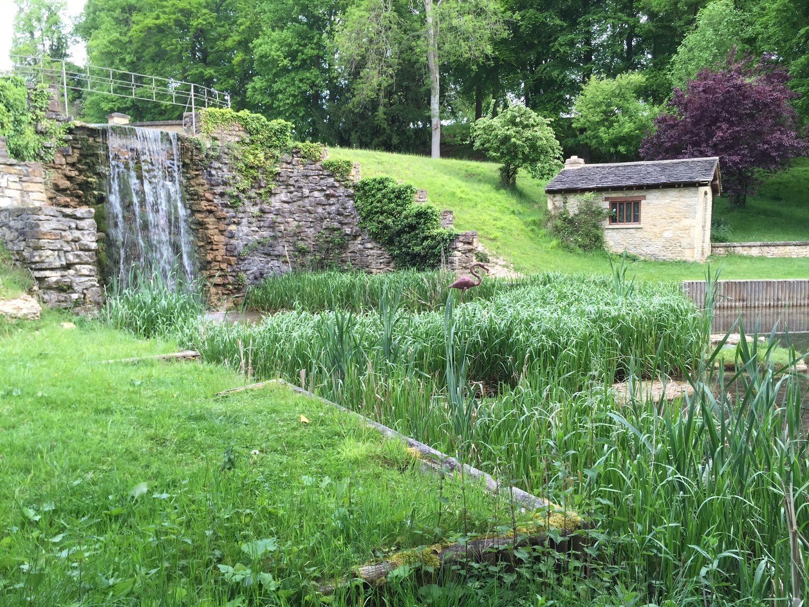Highlights from the Caravan Club National, Cornbury Park - Tin Box ...