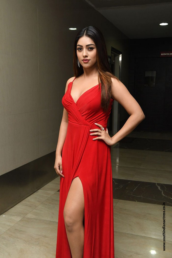 Anu Emmanuel Stills At Oxygen Movie Audio Launch - South Indian Actress