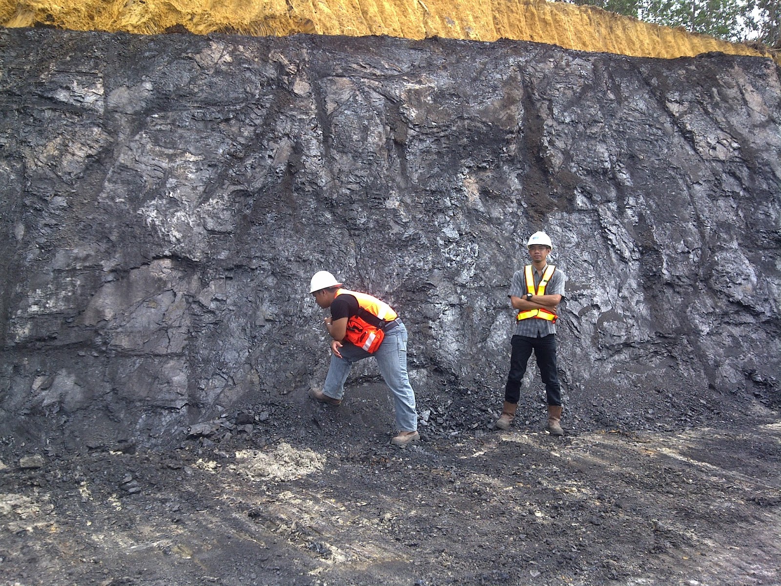 Batubara: Tentang Batubara