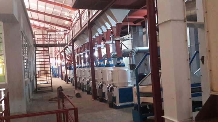 Massive Rice Mill Plant Which Is Set To Be Commissioned In Kano ...