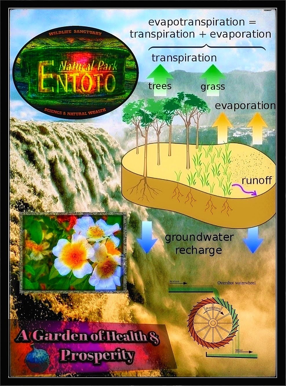 Entoto Natural Park — ABOUT