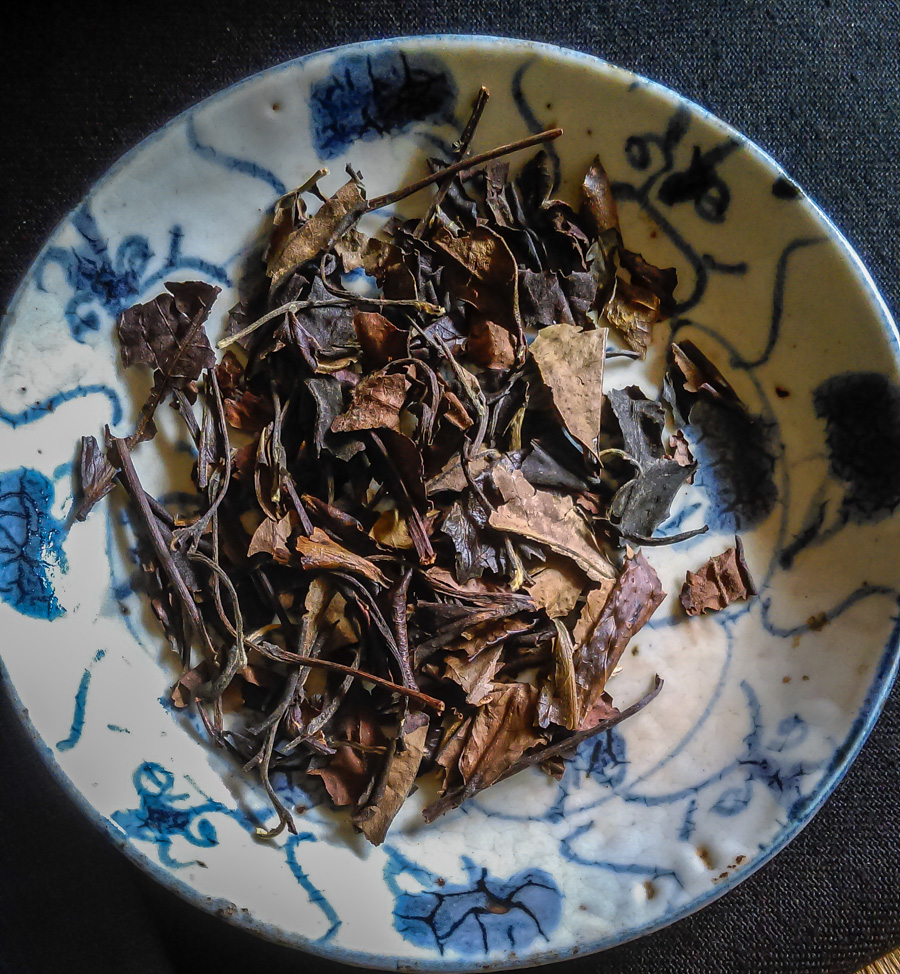 Tea Masters: 33 years old white tea