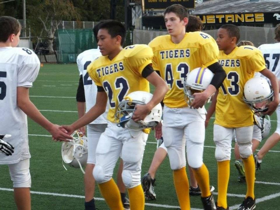 HCS 208 Final Project: Nutritional Requirments Across the Lifespan