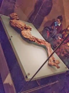 Jessie's Journey Through TY: November 2013