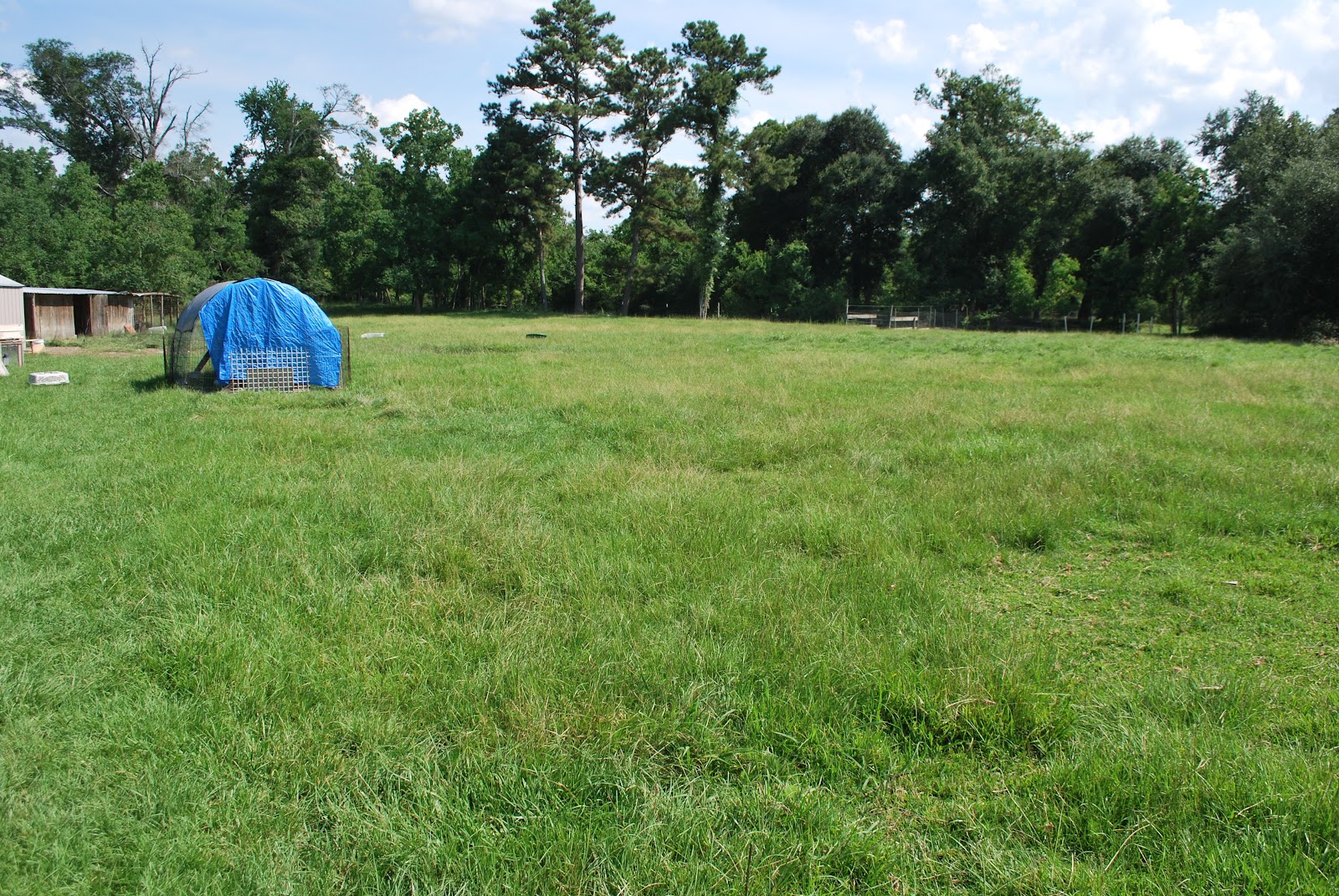 HighTail Farms: Pasture Mowing