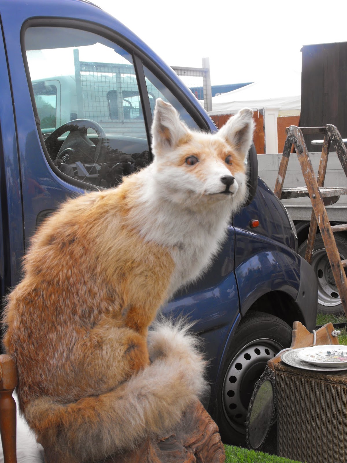 Codlinsandcream2: May 2015