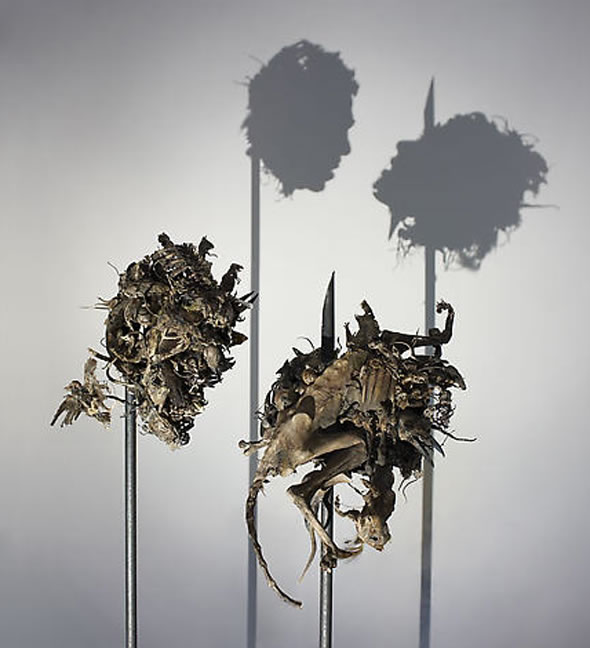 Amazing Shadow Art ~ EinTech