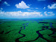 Everglades National Park: Threats/Issues/Problems with the Everglades
