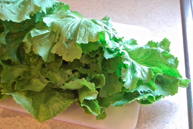 Bringing Home the Harvest: Excited for Escarole