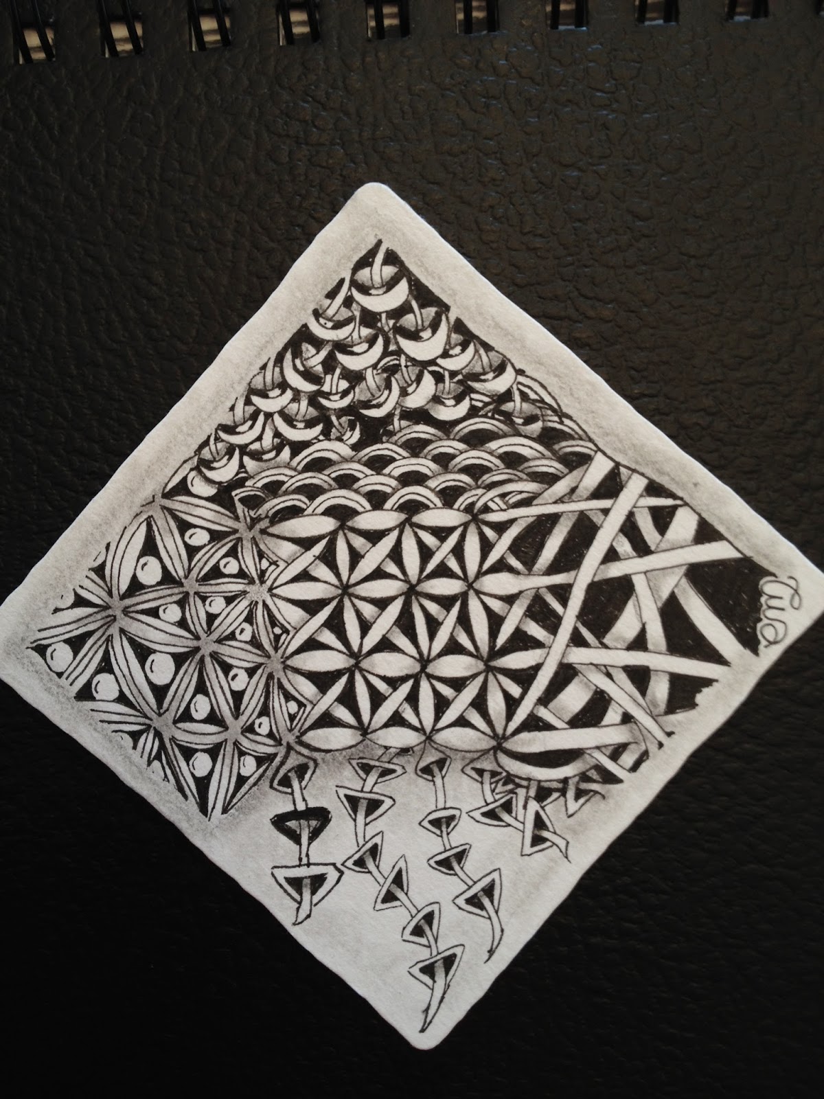 Molly Hollibaugh: Tangle to tangle