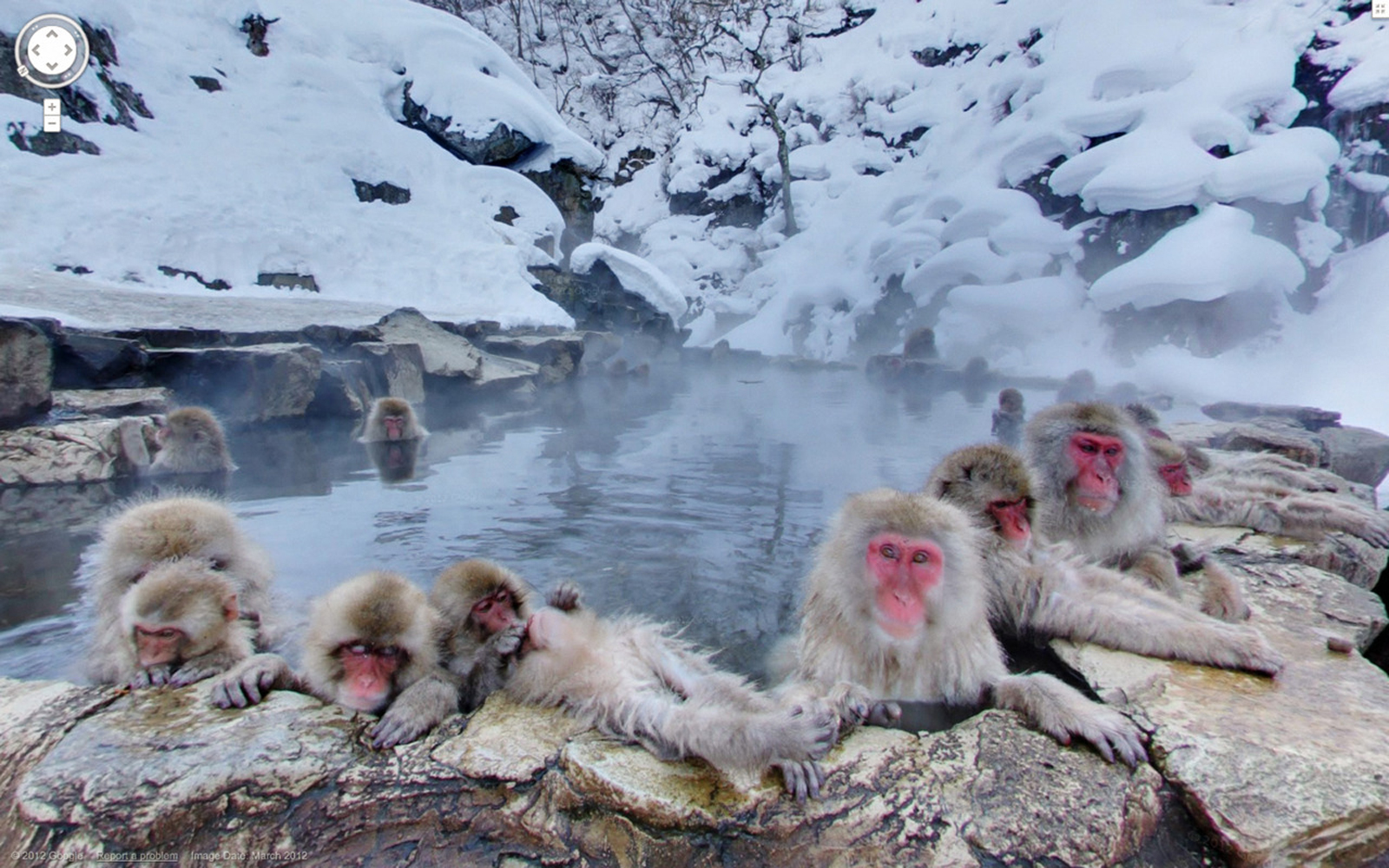 Trippy Places: World's Most Relaxed Monkeys - Jigokudani Monkey Park