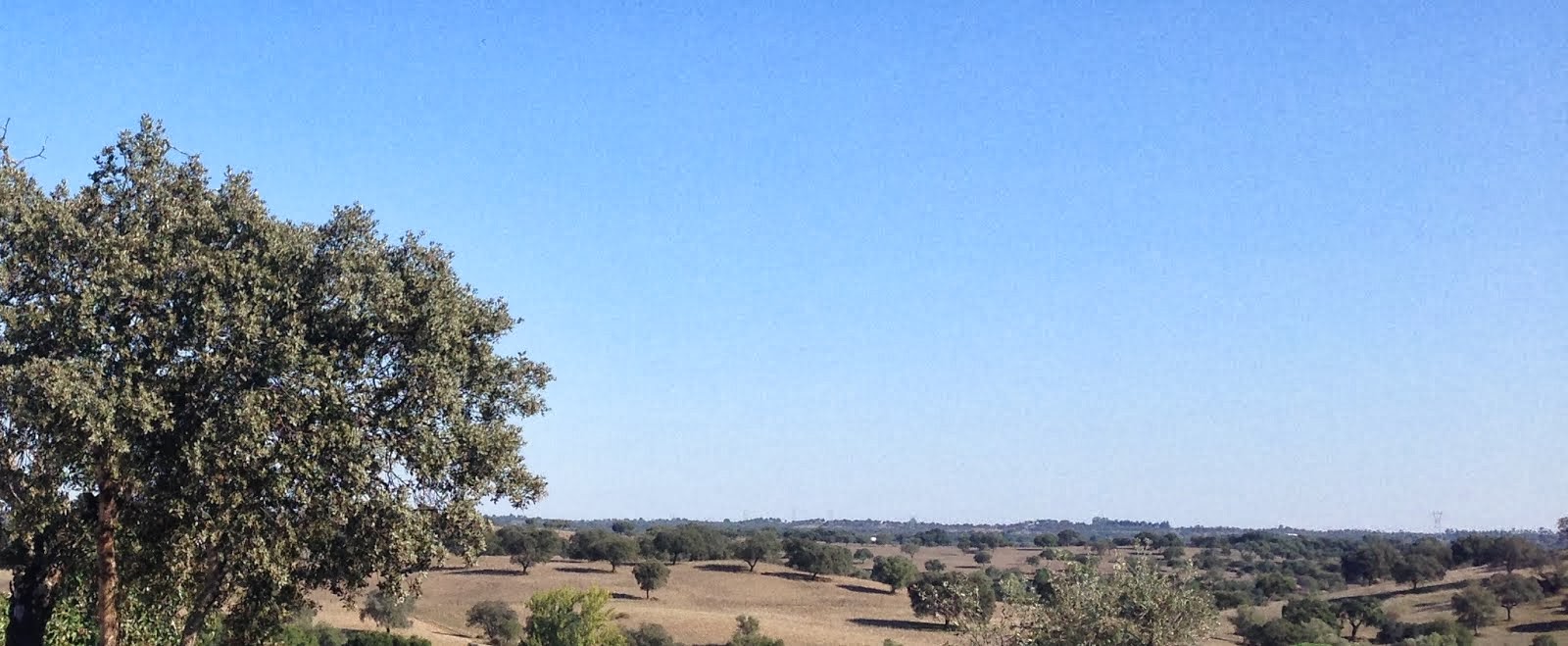 Cabrela -Montemor-o-Novo: A freguesia de Cabrela