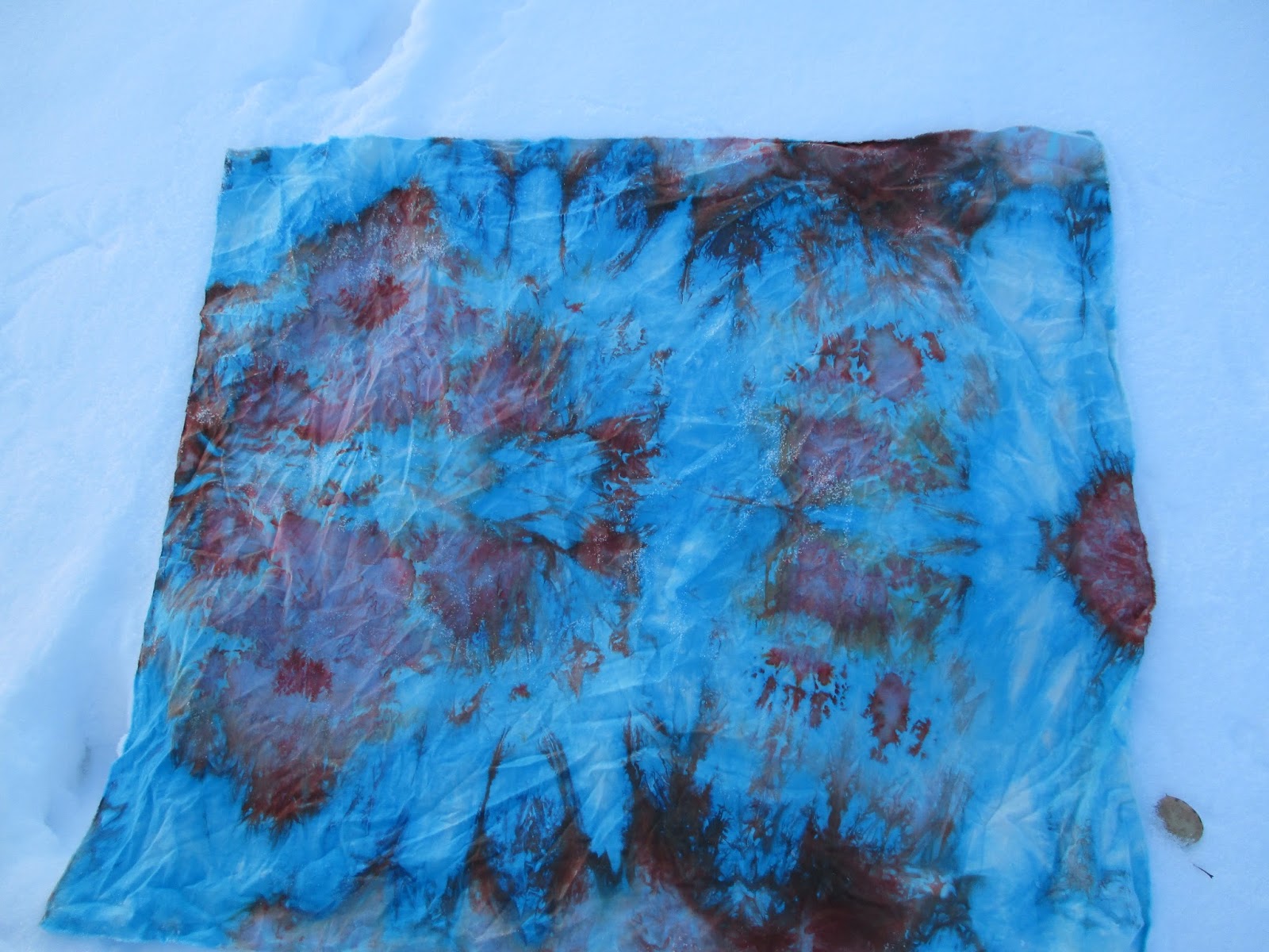 Bunchberry Studio: Snow Dyeing