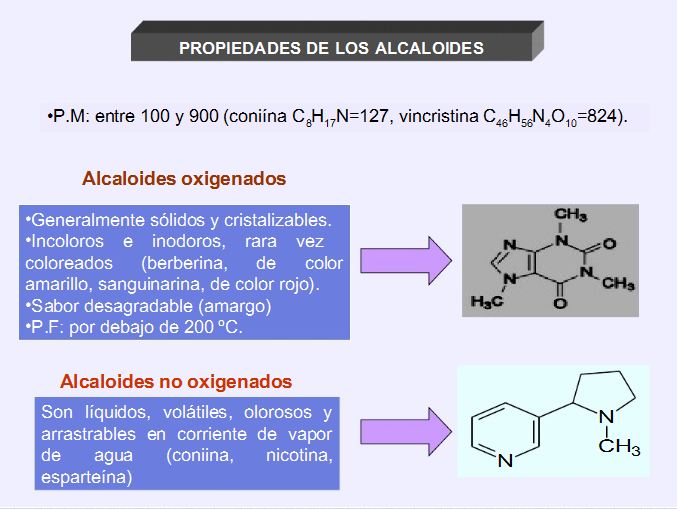 Plantas medicinales y Alcaloides