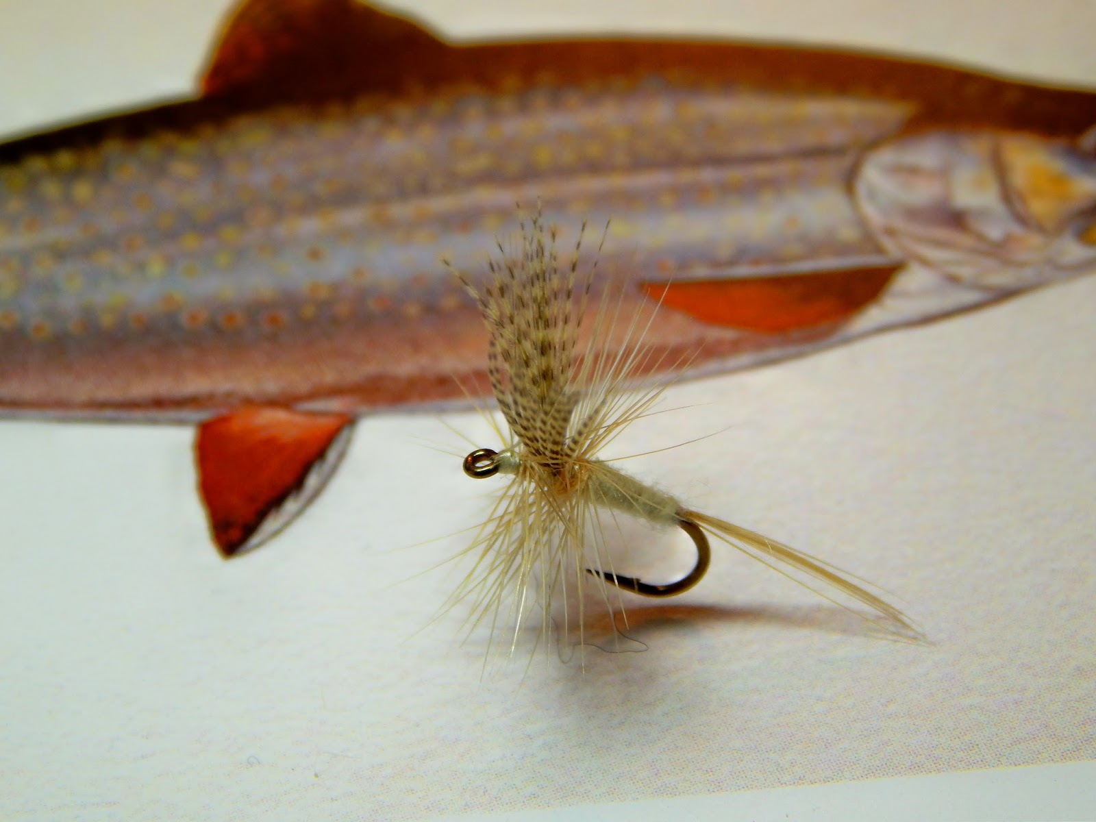 Small Stream Reflections: Catskill Flies, Plus.......