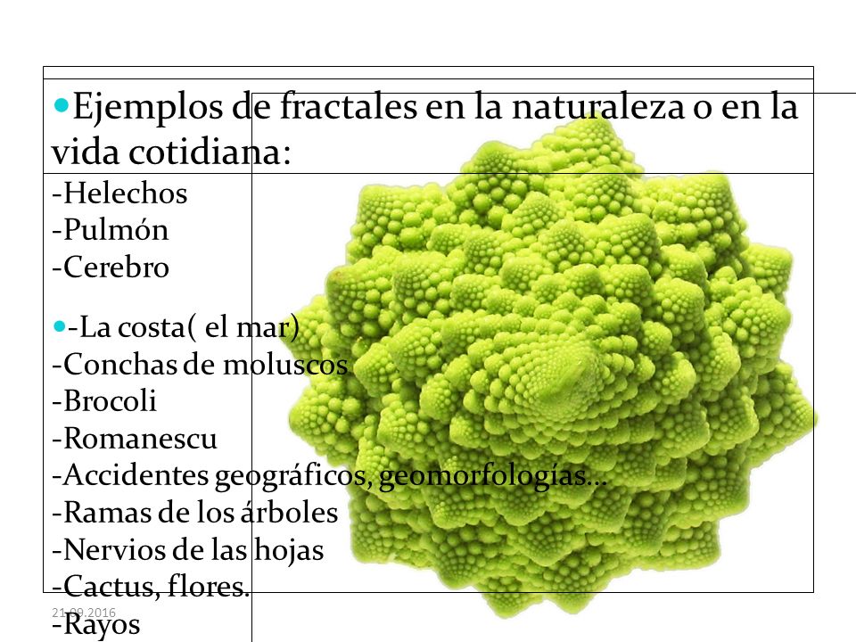 ¿QUÉ ES UN FRACTAL? ~ Portafolio Juan Carlos López Henao