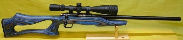 Armi usate web portal: CZ 455 EVOLUTION CAL.22LR