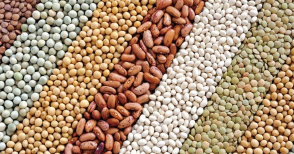 Chef in da house: Llegums