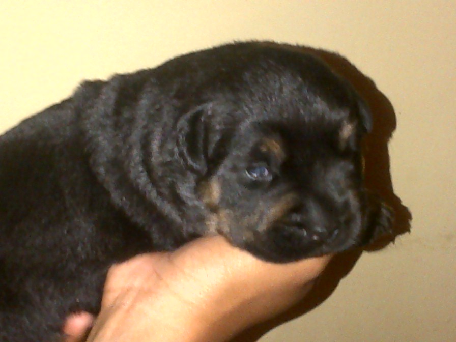 Salt Raker Bay...Island Family; Island Life: "My Favorite Favorites!"