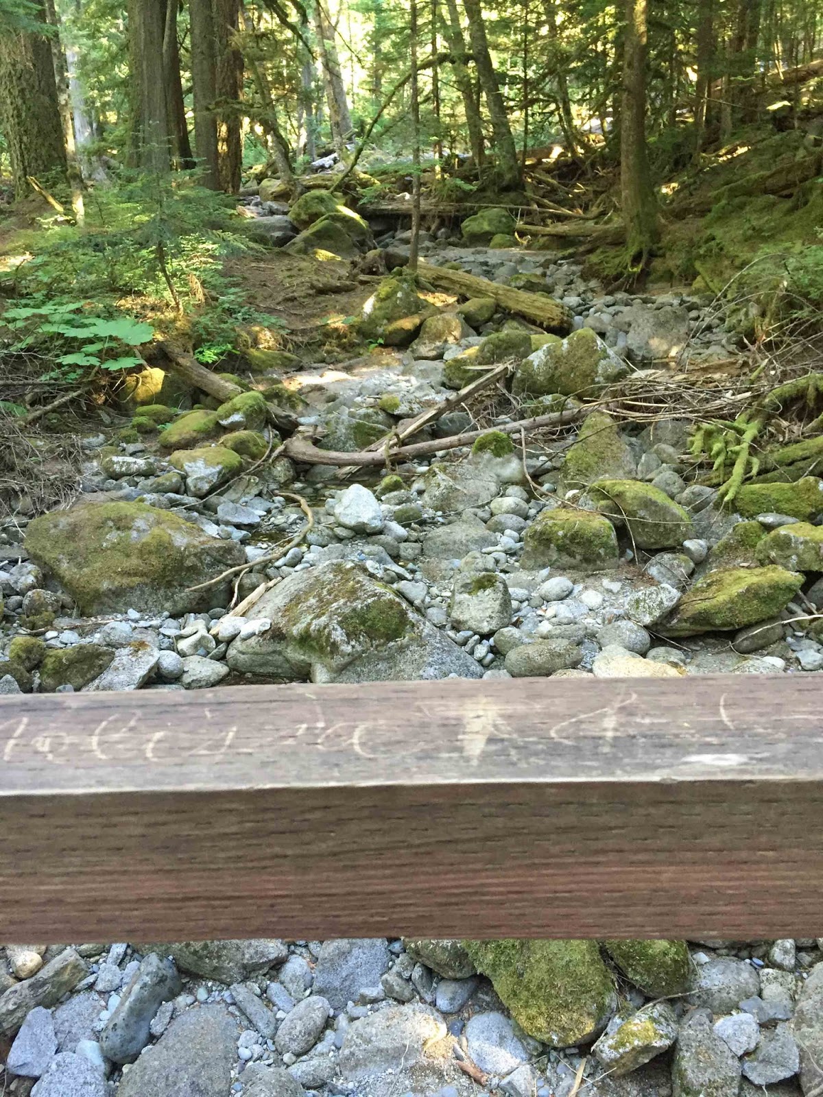 Adventures with Jake: Deception Falls Interpretive Trail - Easy Hike ...